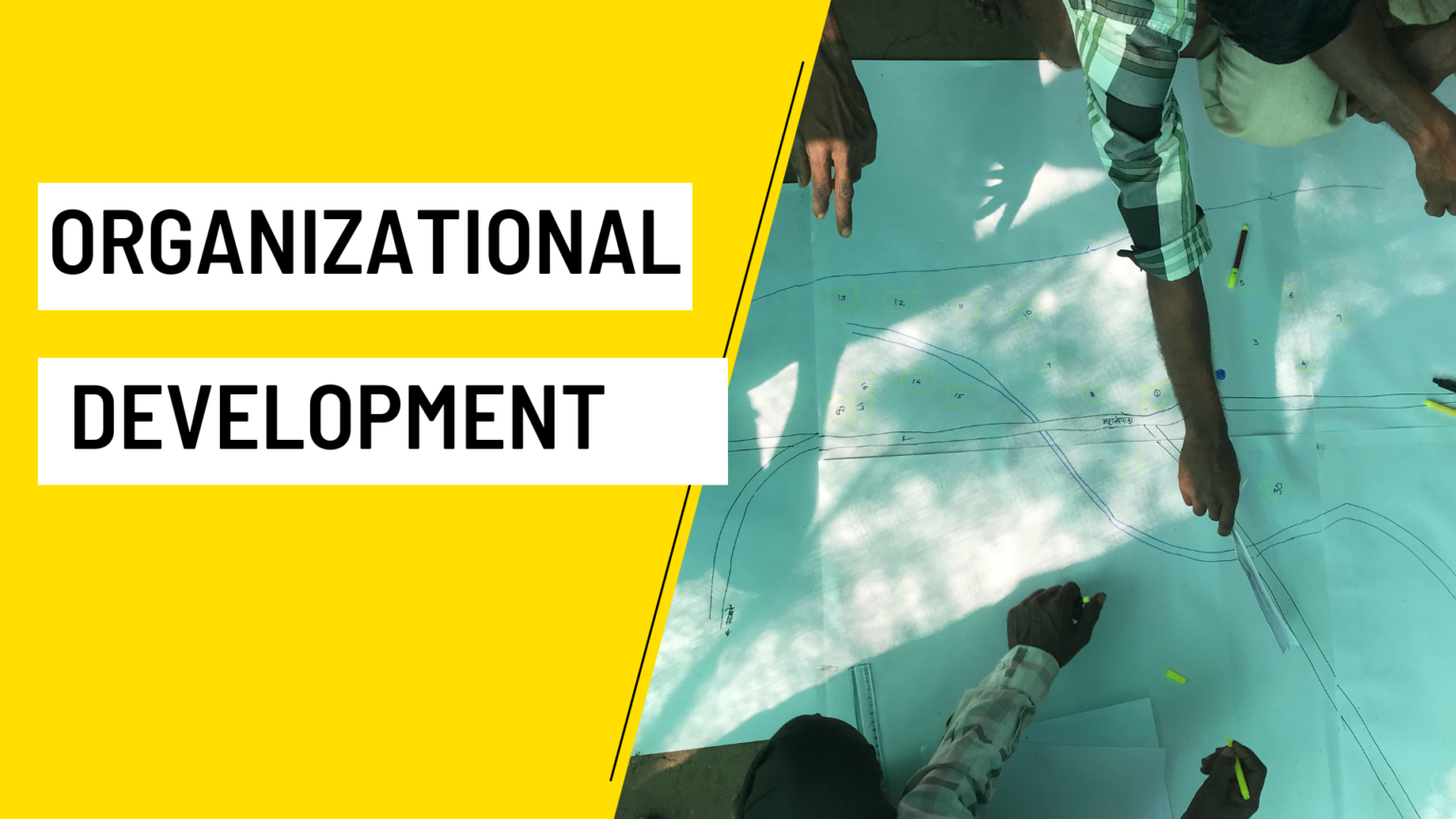 Organizational Development: Meaning, Importance, Strategies - Xobin